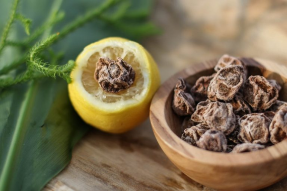 Chamoy: What Is It & How To Use It | Sophia's Spicy Treats